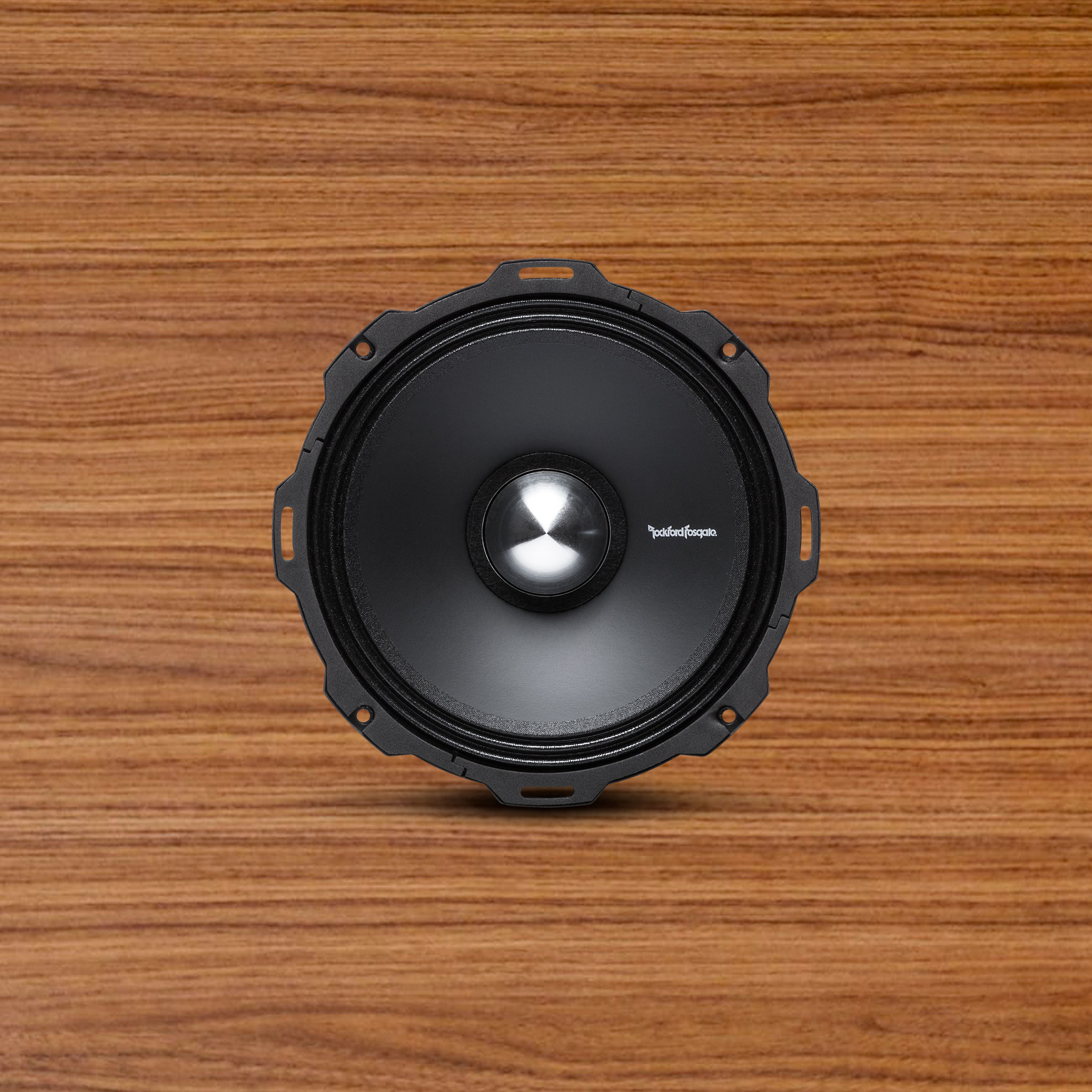 PPS4-10 Rockfort Fosgate Punch Pro 25 cm (10″) 4-Ohm Midrange – DM ...